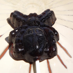 10 Spider Lollipops Bug Insect Halloween Creepy Legs Lollypop - Etsy