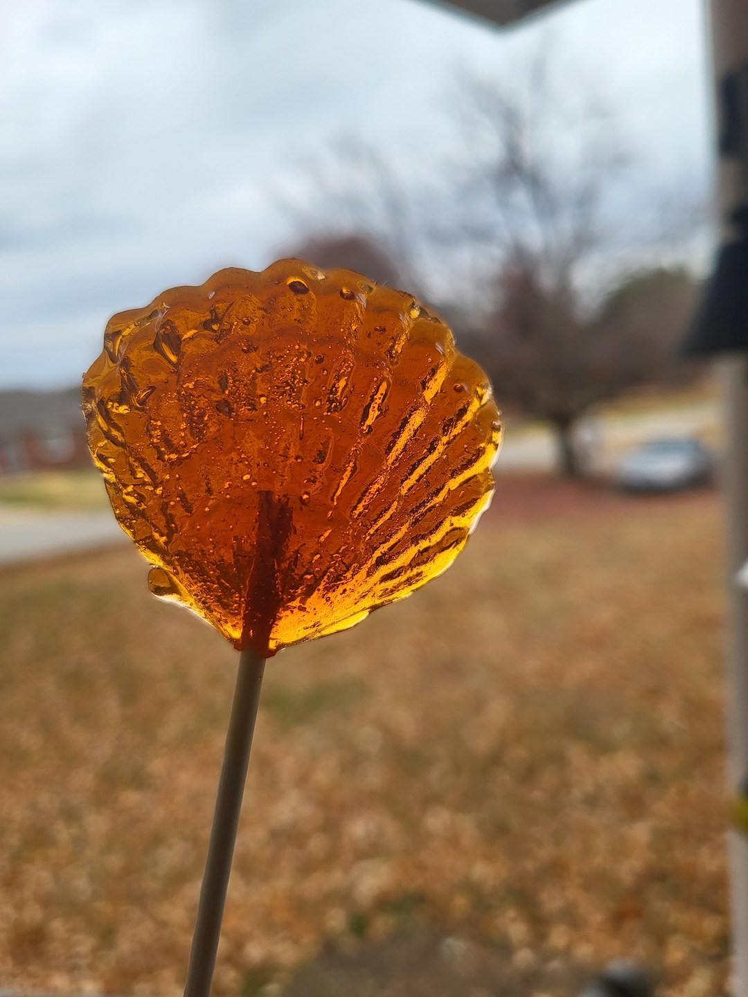 10 Seashell Beach Sand Vacation Lollipops - Etsy