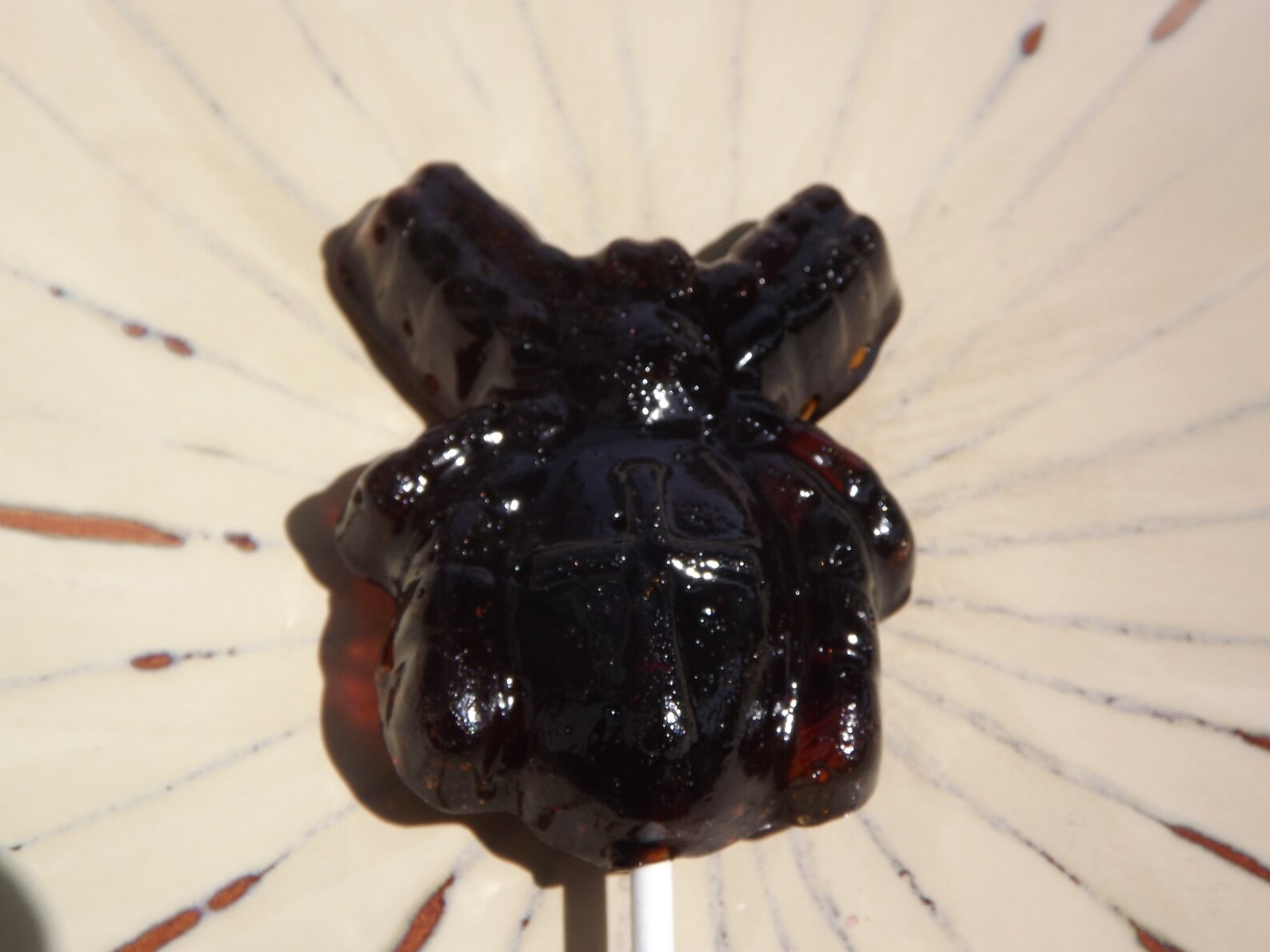 10 Spider Lollipops Bug Insect Halloween Creepy Legs Lollypop - Etsy