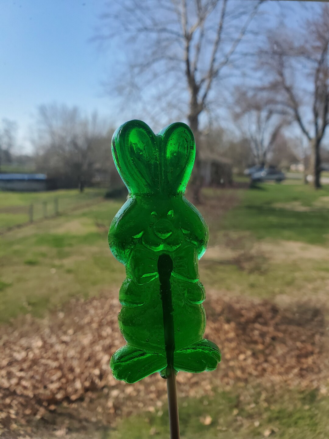8 Bunny Rabbit Easter Smiling Lollipop Sucker Party Candy - Etsy