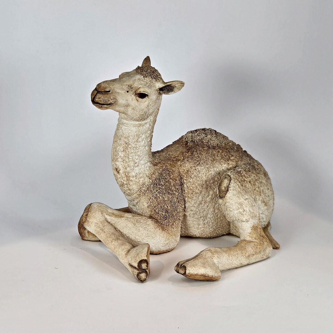Country Artists Sitting Camel Figurine 02748, Detailed Camel Ornament ...