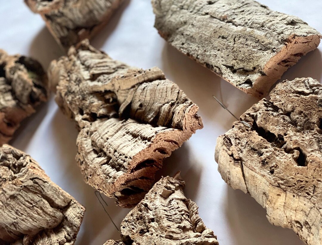 Cork Mount for Orchids and Epiphytes Plants - Etsy