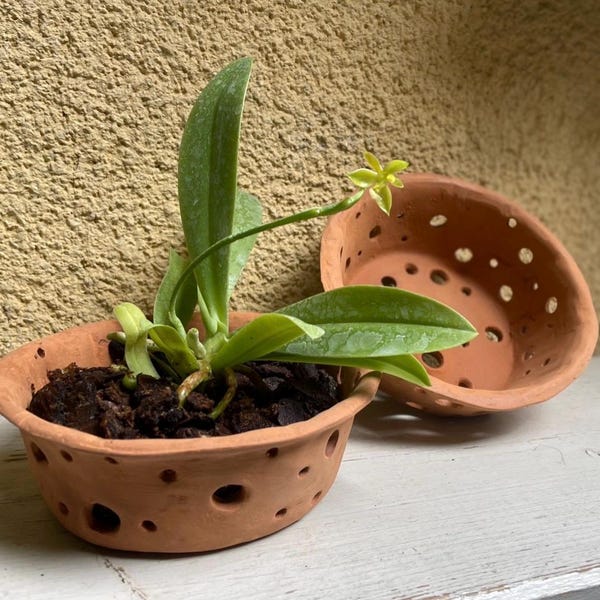 Clay Orchid Pot - Etsy