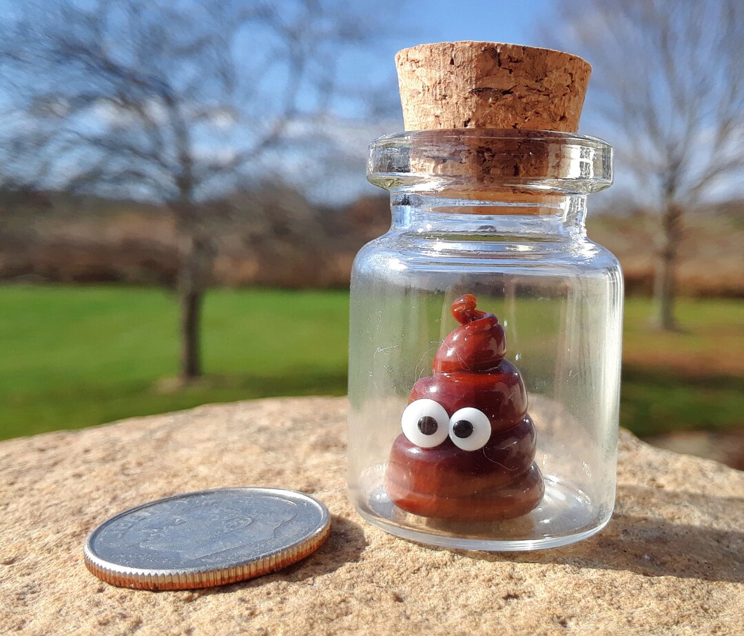 Miniature Glass Poop in a Bottle | Tiny Glass Poop | Handmade Glass Poo ...