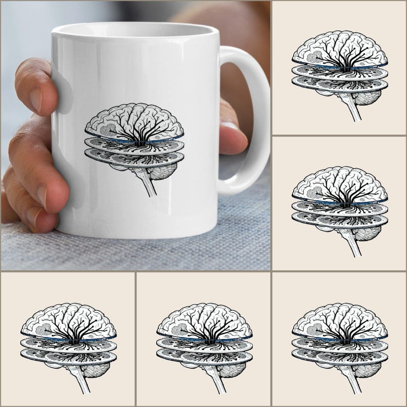 Human Brain Anatomy Digital Image: Detailed, Anatomical, Transparent ...