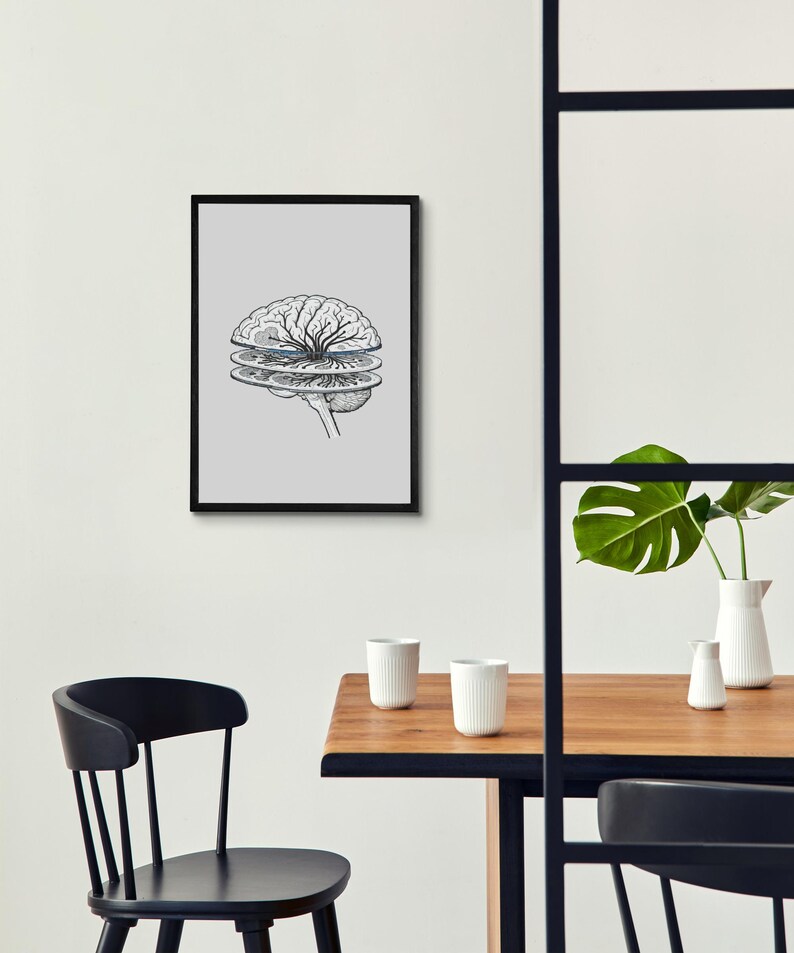 Human Brain Anatomy Digital Image: Detailed, Anatomical, Transparent ...