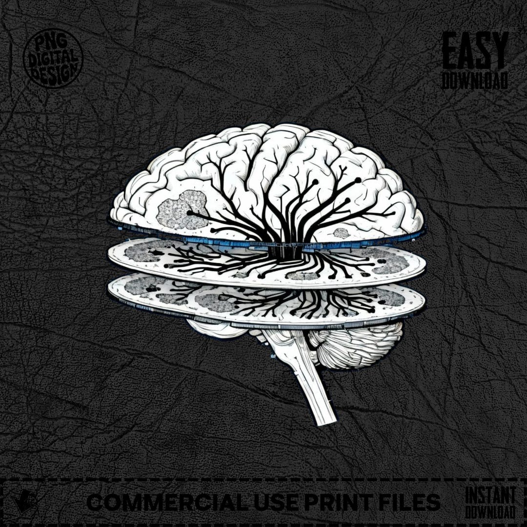 Human Brain Anatomy Digital Image: Detailed, Anatomical, Transparent ...