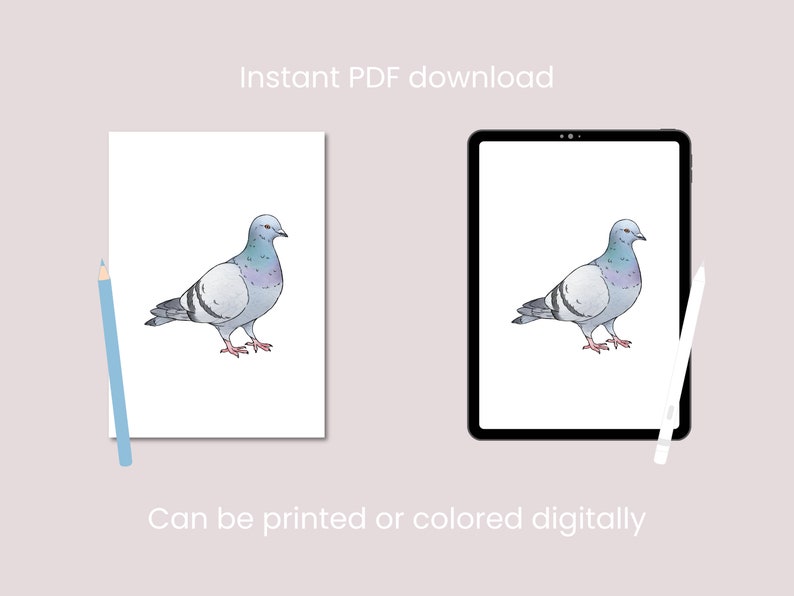 Printable Pigeon Coloring Page, Cute and Realistic Animal Line Art for ...