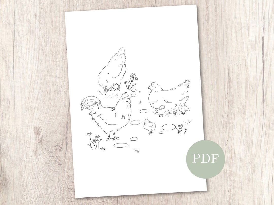 Printable Chicken Coloring Page, Cute and Realistic Animal Line Art for ...