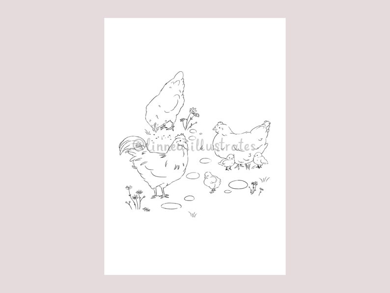 Printable Chicken Coloring Page, Cute and Realistic Animal Line Art for ...