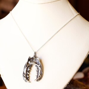 The Jaws of the Jabberwocky, Sterling Silver Pendant - Etsy