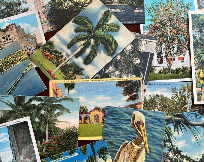 25 Vintage Linen Florida Postcards Used/postmarked, 1940-1950's - Etsy