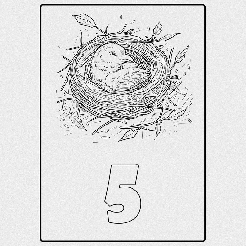 20 Bird Nest Coloring Pages - Bird Eggs and Bushy Nests Printable ...
