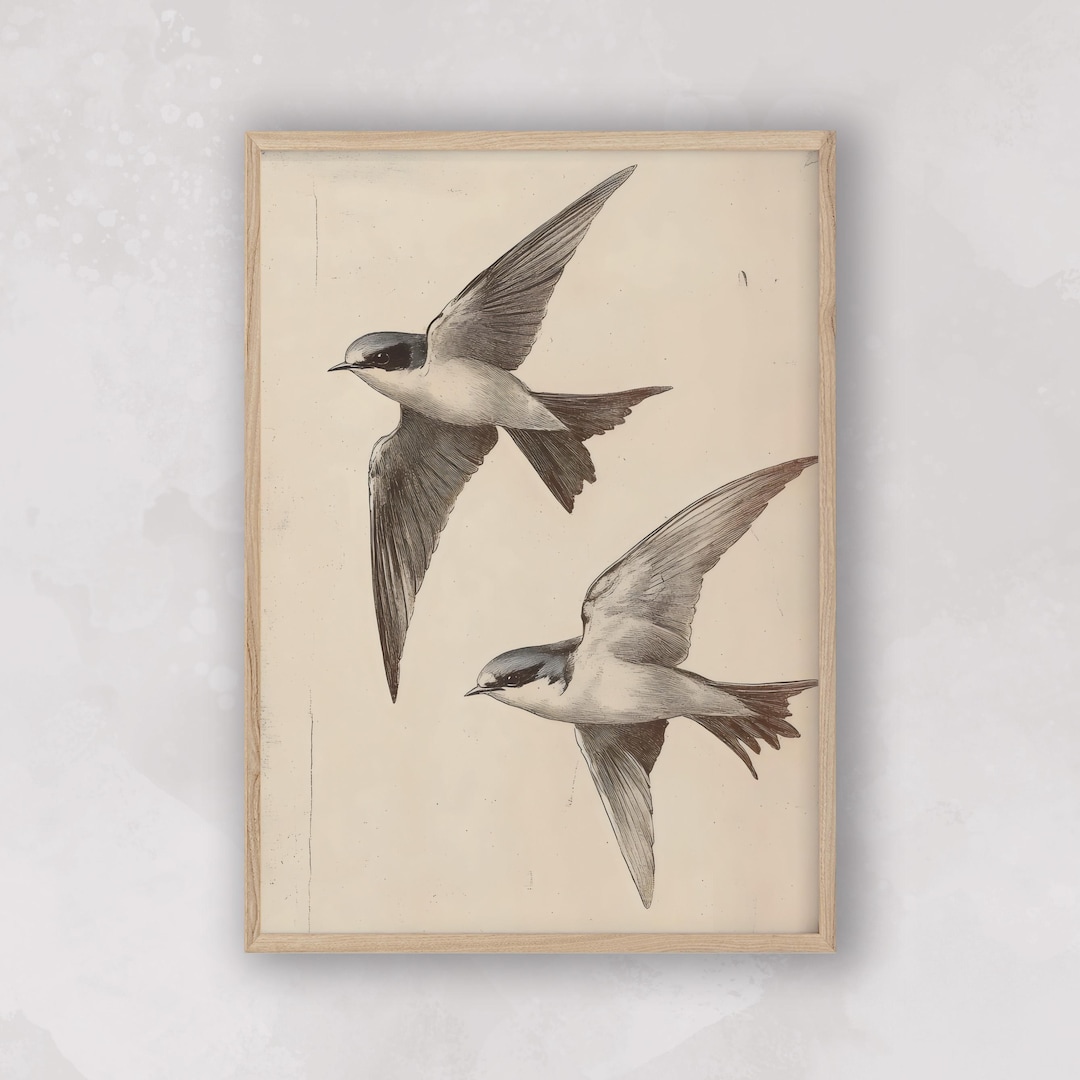 Vintage Birds Print, Cottagecore Bedroom Painting, Eclectic Wall Art ...
