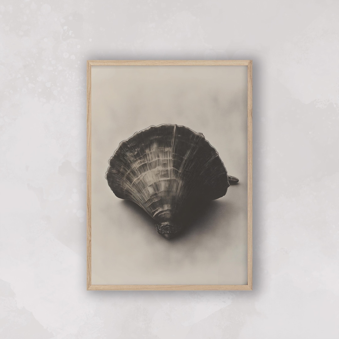 Dark Seashell Sketch Print, Minimalist Eclectic Wall Art (digital ...