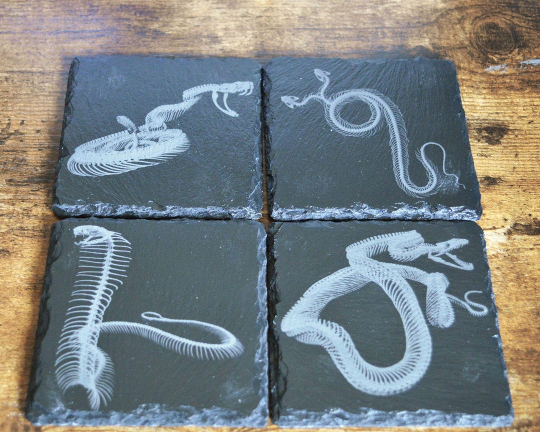 Snakes. Set of 4 Laser Engraved Snake Skeleton Natural Slatecoasters ...