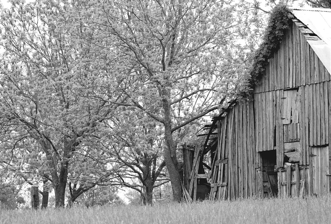 B&W Broken Barn Photo - Etsy
