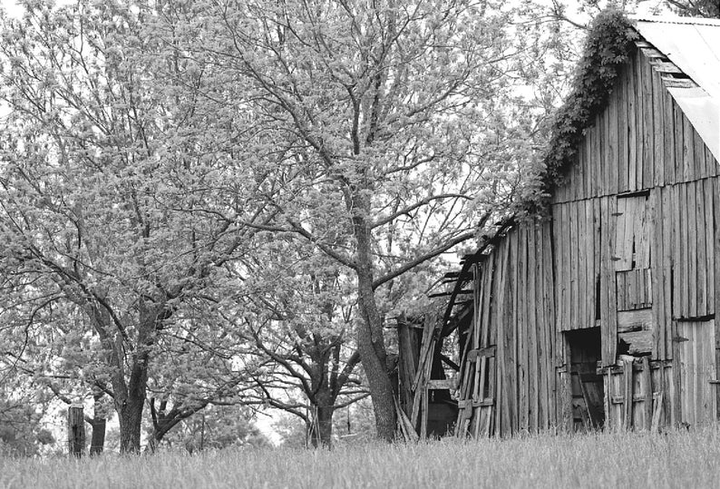 B&W Broken Barn Photo - Etsy