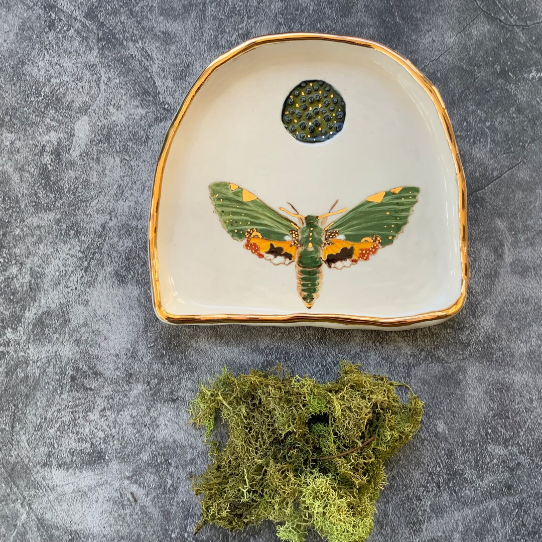 Verdant Sphinx Moth, Porcelain Ceramic Wall Art, Shellieartist, Moth ...