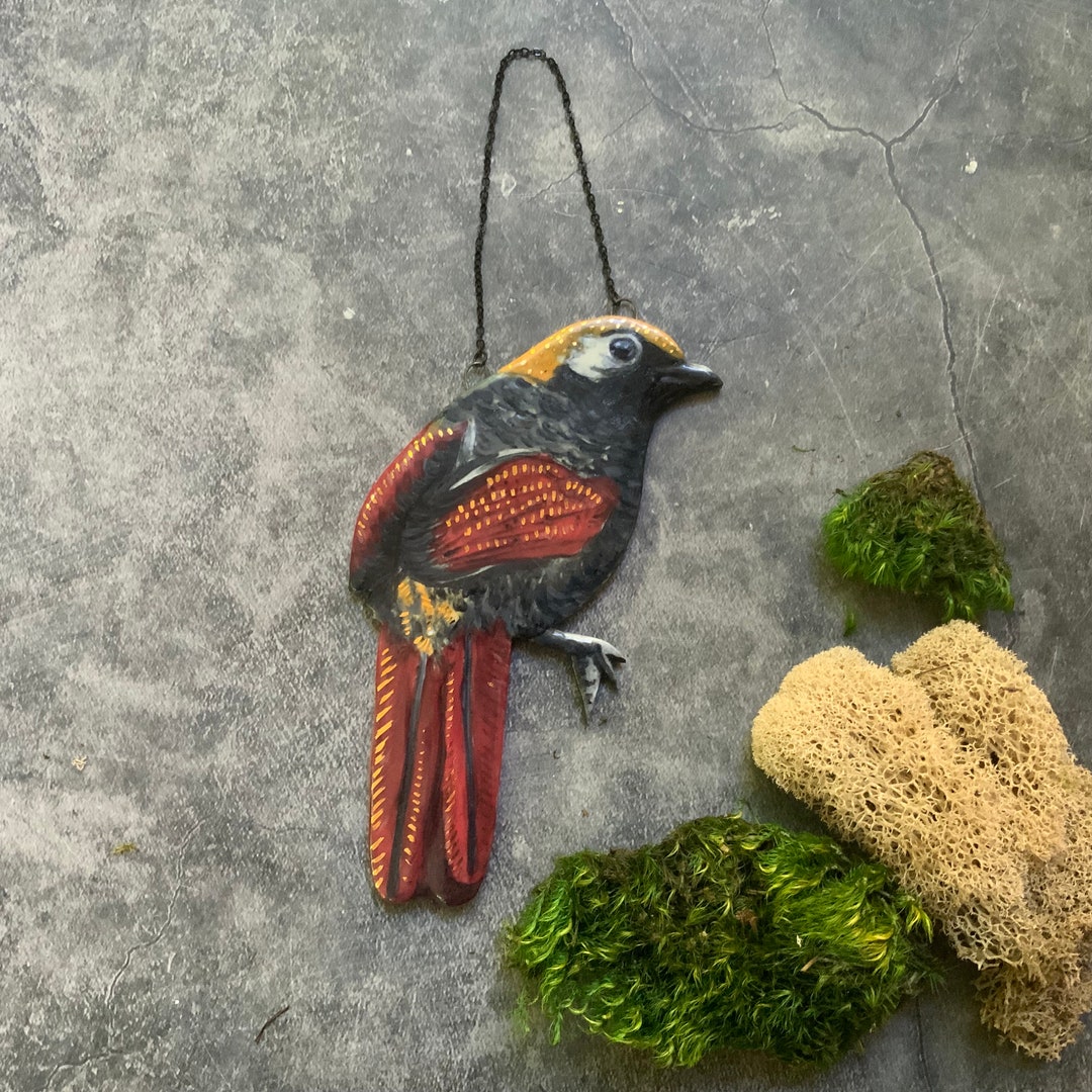 Red Tailed Laughing Thrush Porcelain Wall Art, Gold Luster, Boho Art ...