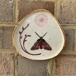 Streaked Calidota Moth, Porcelain Ceramic Wall Art, Shellieartist, Moth ...