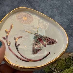 Streaked Calidota Moth, Porcelain Ceramic Wall Art, Shellieartist, Moth ...