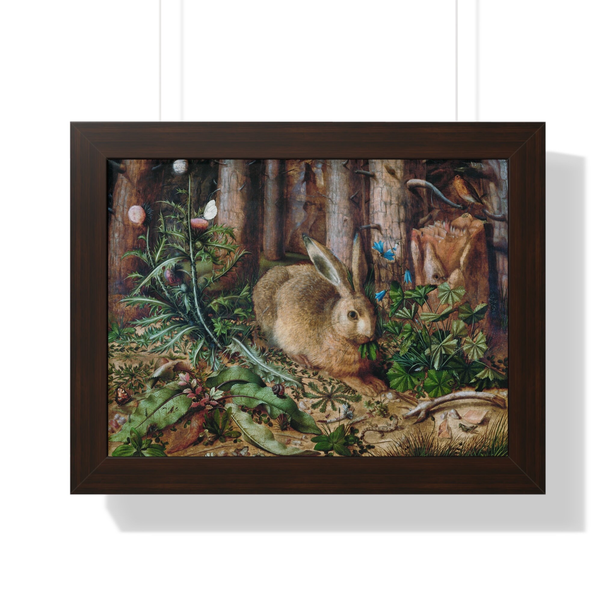 Framed Fine Art, A Hare in the Forest 1585 by Hans Hoffmann, Mushrooms ...