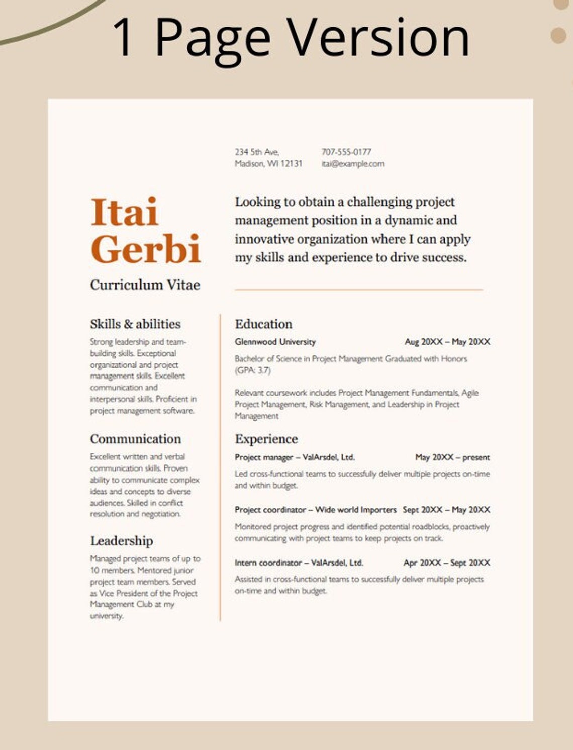 Professional Word Resume Template Resume Word Template MS Word Resume ...