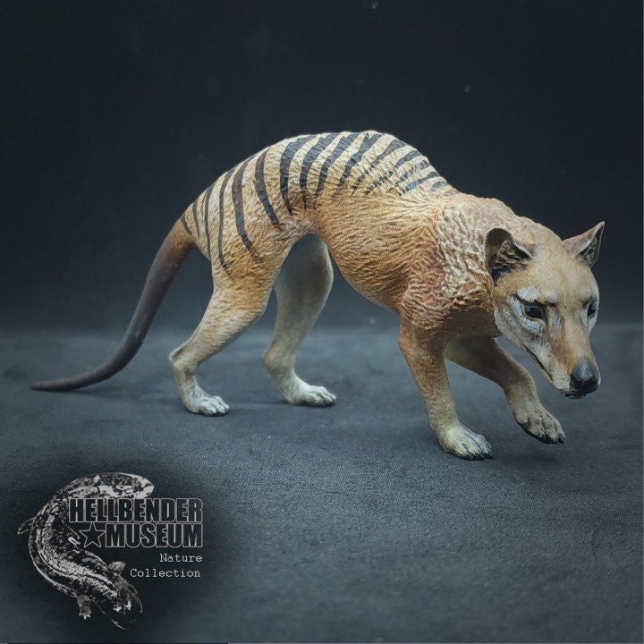 Thylacine Pouch