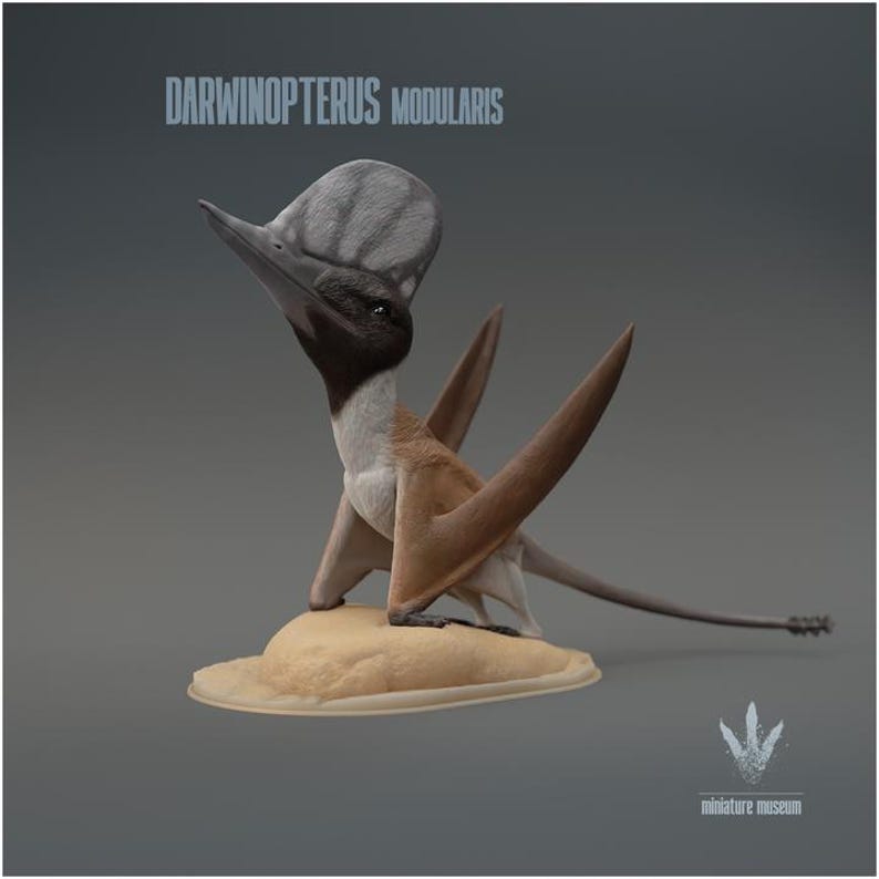 Darwinopterus Modularis : Darwin's Wing - UNPAINTED 3D Figurine ...