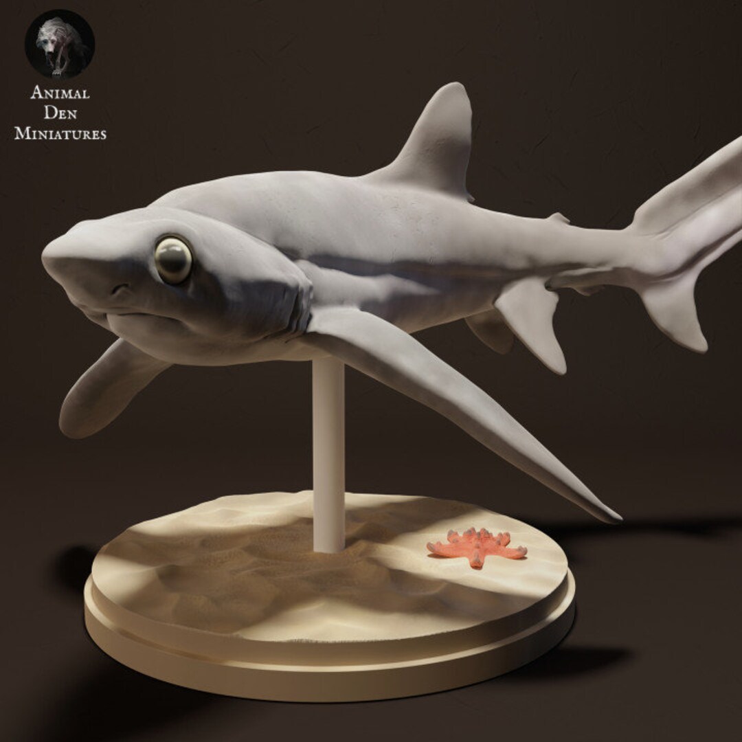 Big Eye Thresher Shark - UNPAINTED - Animal Den Miniatures - Etsy