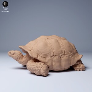 Galápagos Giant Tortoise Chillin - UNPAINTED - Animal Den Miniatures - Etsy