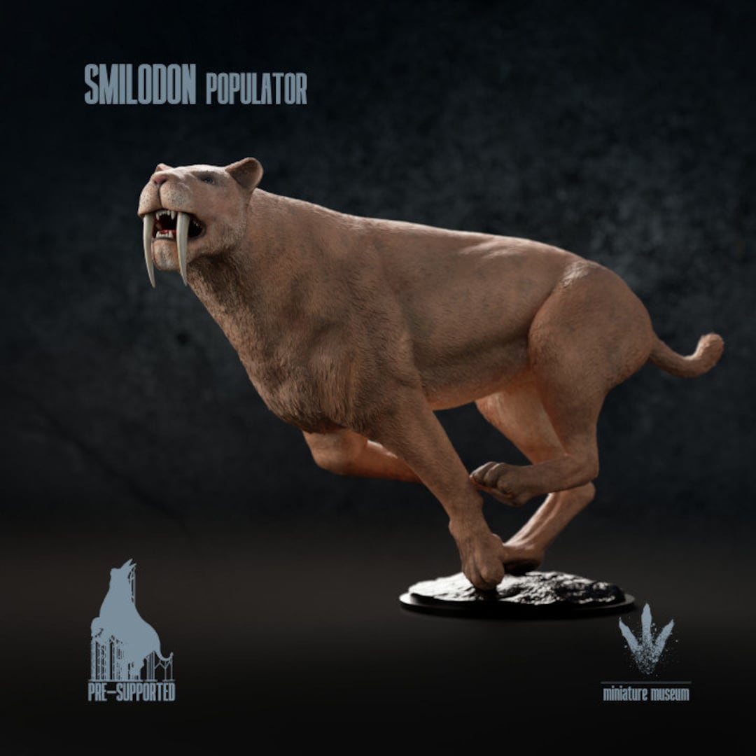 Smilodon Populator - UNPAINTED - Miniature Museum - Etsy