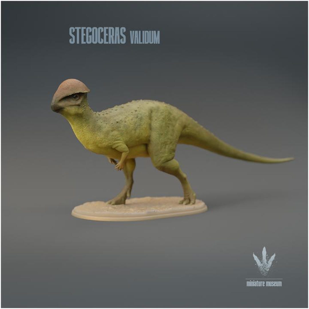 Stegoceras Validum : the Horn Roof - UNPAINTED 3D Figurine - Miniature ...