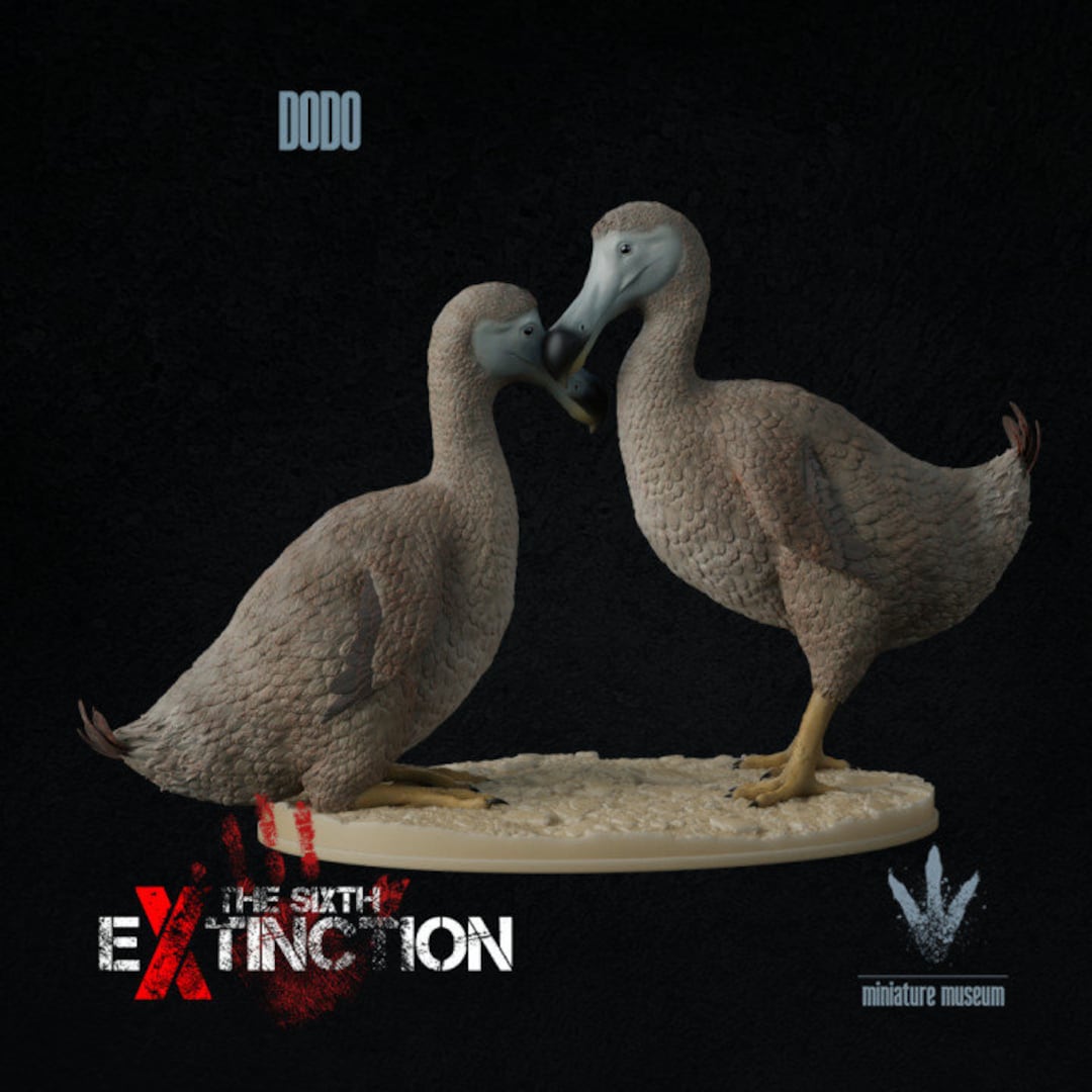 Dodo : A Couple of Dodos - UNPAINTED - Miniature Museum - Etsy