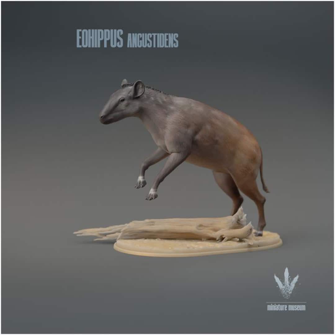 Eohippus Angustidens Jumping - UNPAINTED 3D Figurine - Miniature Museum ...