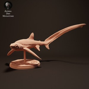 Big Eye Thresher Shark - UNPAINTED - Animal Den Miniatures - Etsy
