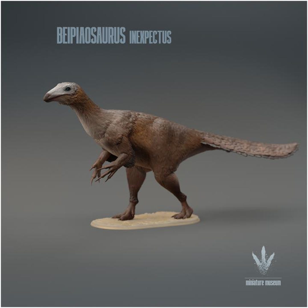 Beipiaosaurus Inexpectus : the Unexpected Therizinosaurid - UNPAINTED ...