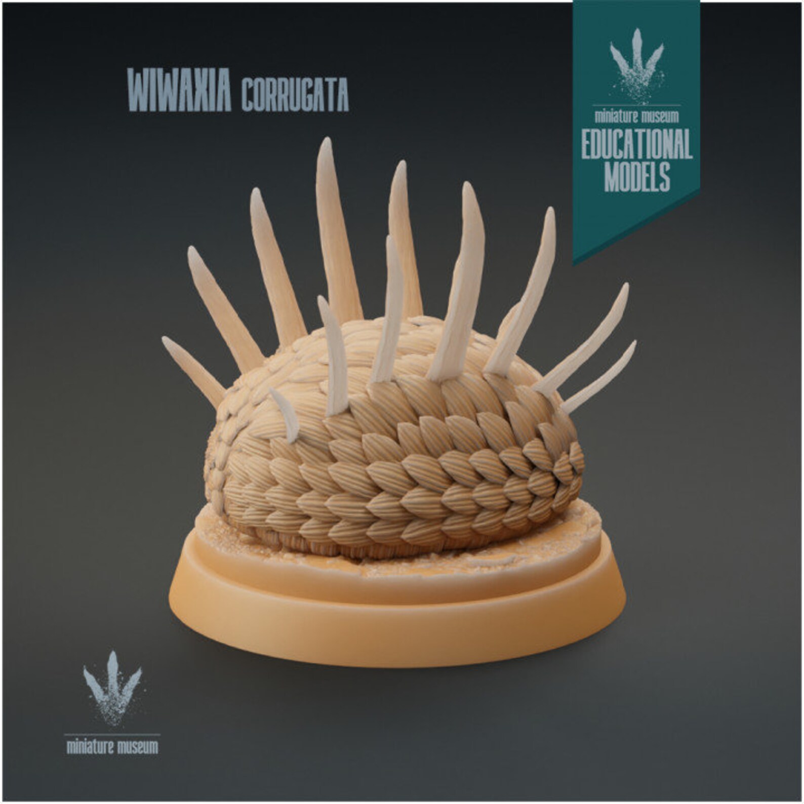 Wiwaxia Corrugata - UNPAINTED - Miniature Museum - Etsy