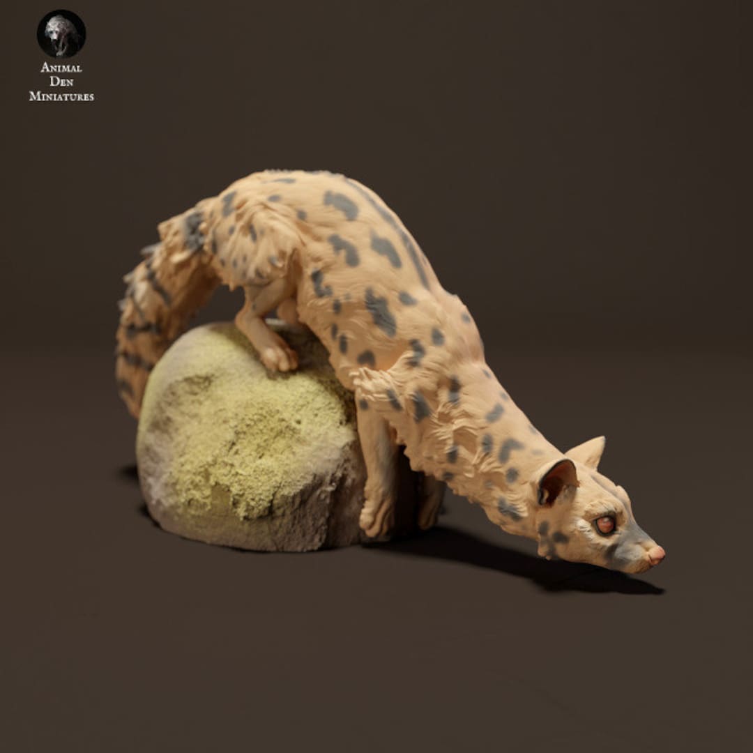 Common Genet and Rock - UNPAINTED - Animal Den Miniatures - Etsy