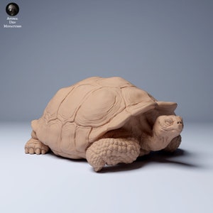 Galápagos Giant Tortoise Chillin - UNPAINTED - Animal Den Miniatures - Etsy