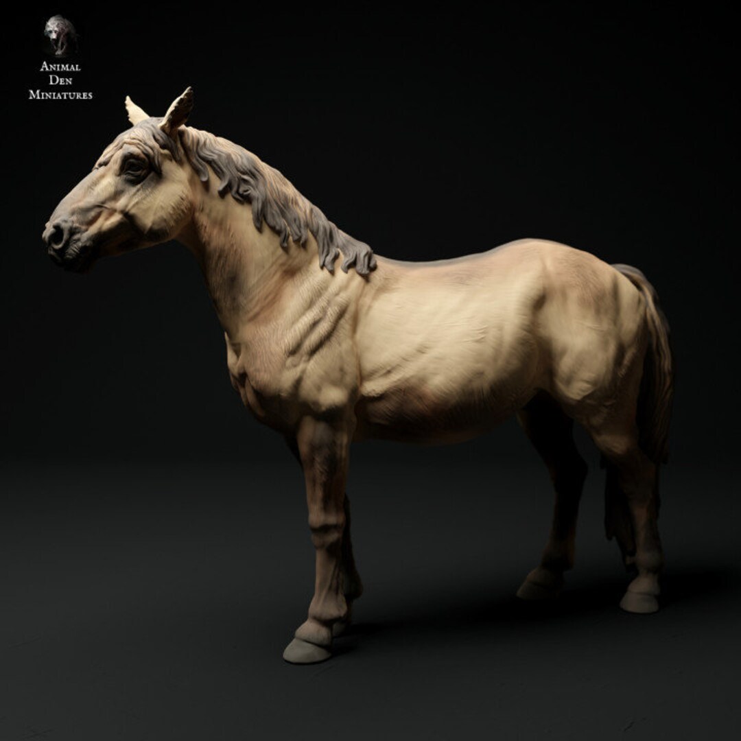 Konik Horse - UNPAINTED - Animal Den Miniatures - Etsy