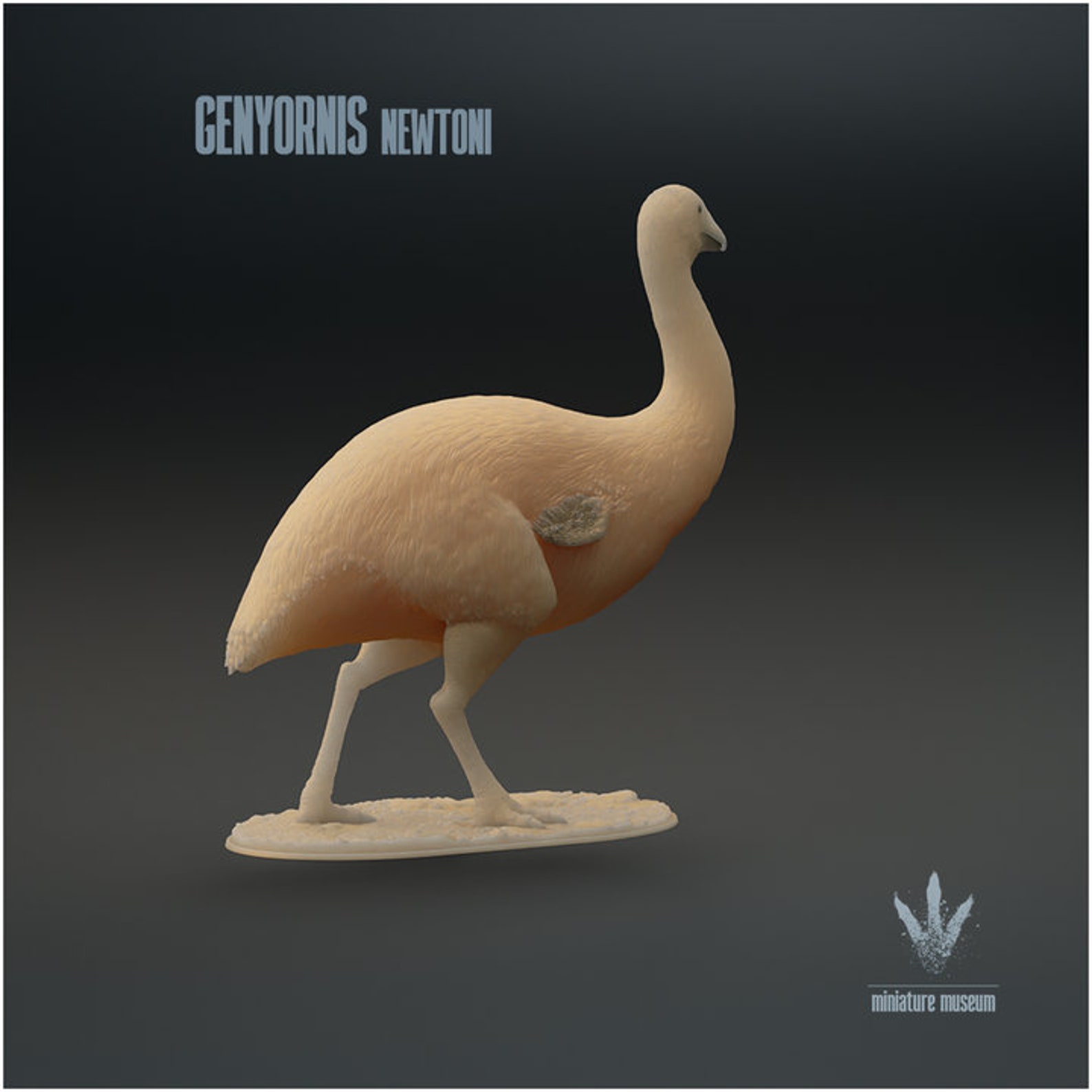 Genyornis Newtoni : the Thunder Bird - UNPAINTED - Miniature Museum - Etsy