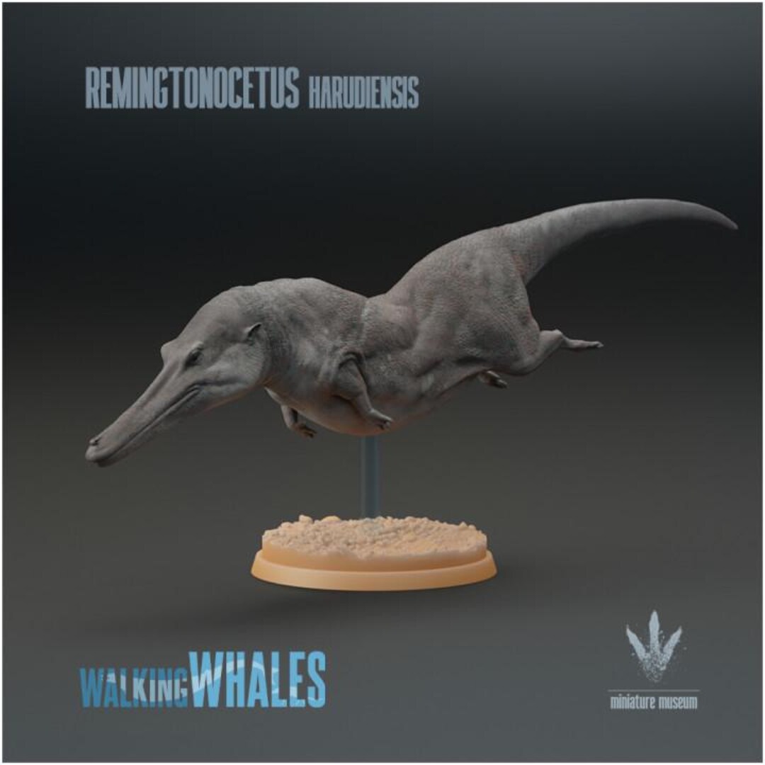 Remingtonocetus Harudiensis : the Slender Whale - UNPAINTED 3D Resin ...