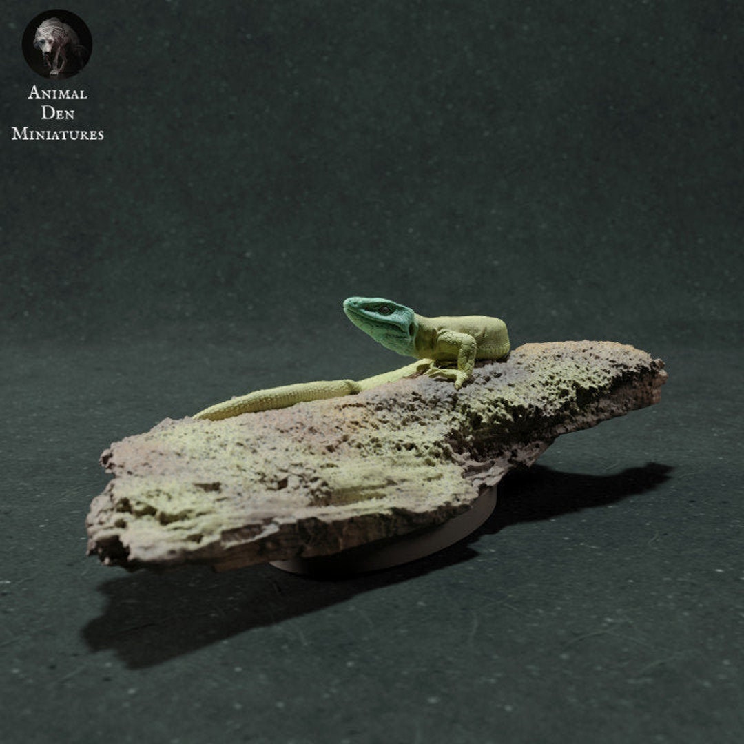 Lizard on a Rock UNPAINTED Animal Den Miniatures - Etsy