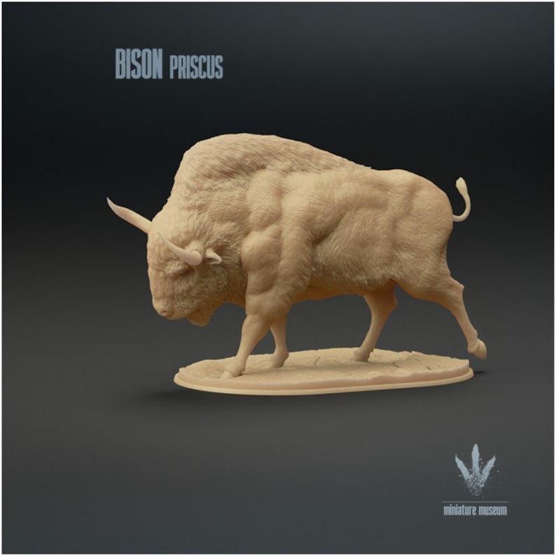 Bison Priscus - UNPAINTED - Miniature Museum - Etsy