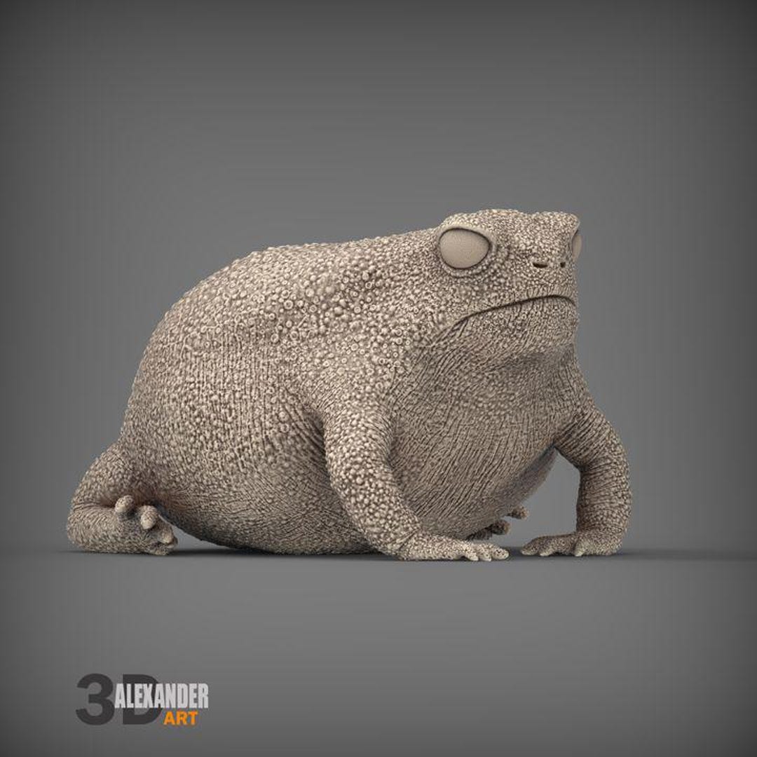 Rain Frog - UNPAINTED - Alexander3dart - Etsy