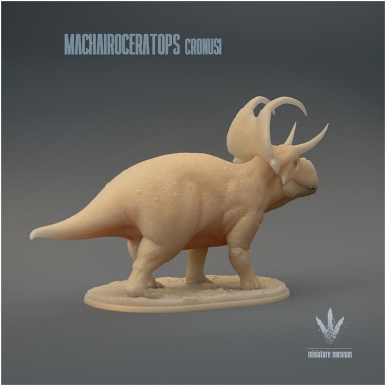 Machairoceratops Cronusi : the Bent Sword Horned-face - UNPAINTED 3D ...