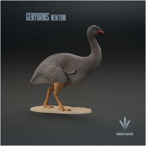 Genyornis Newtoni : the Thunder Bird - UNPAINTED - Miniature Museum - Etsy