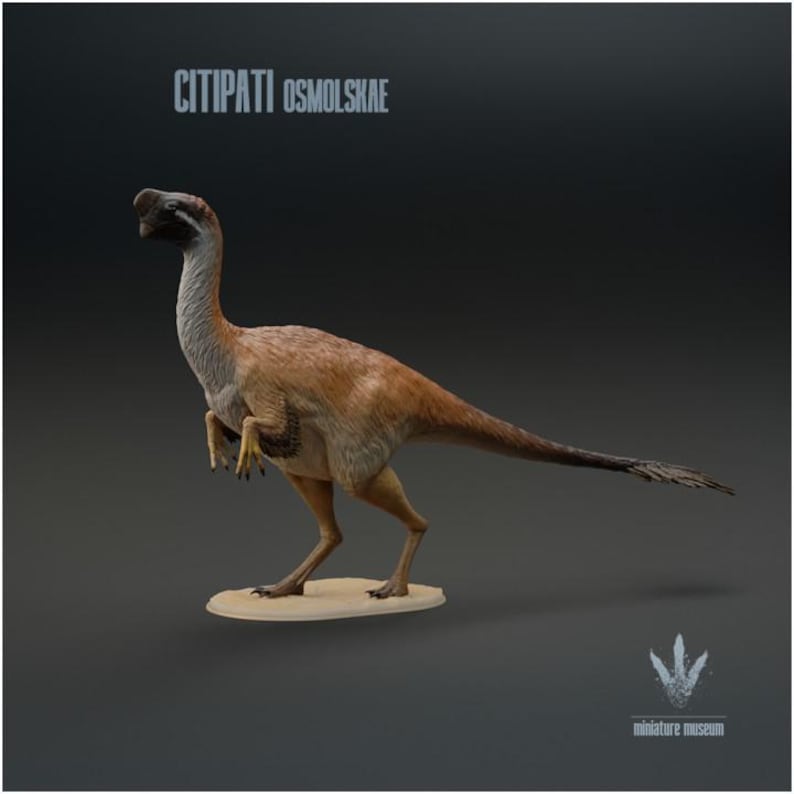 Citipati Osmolskae : Mongolian Oviraptor - UNPAINTED - Miniature Museum ...